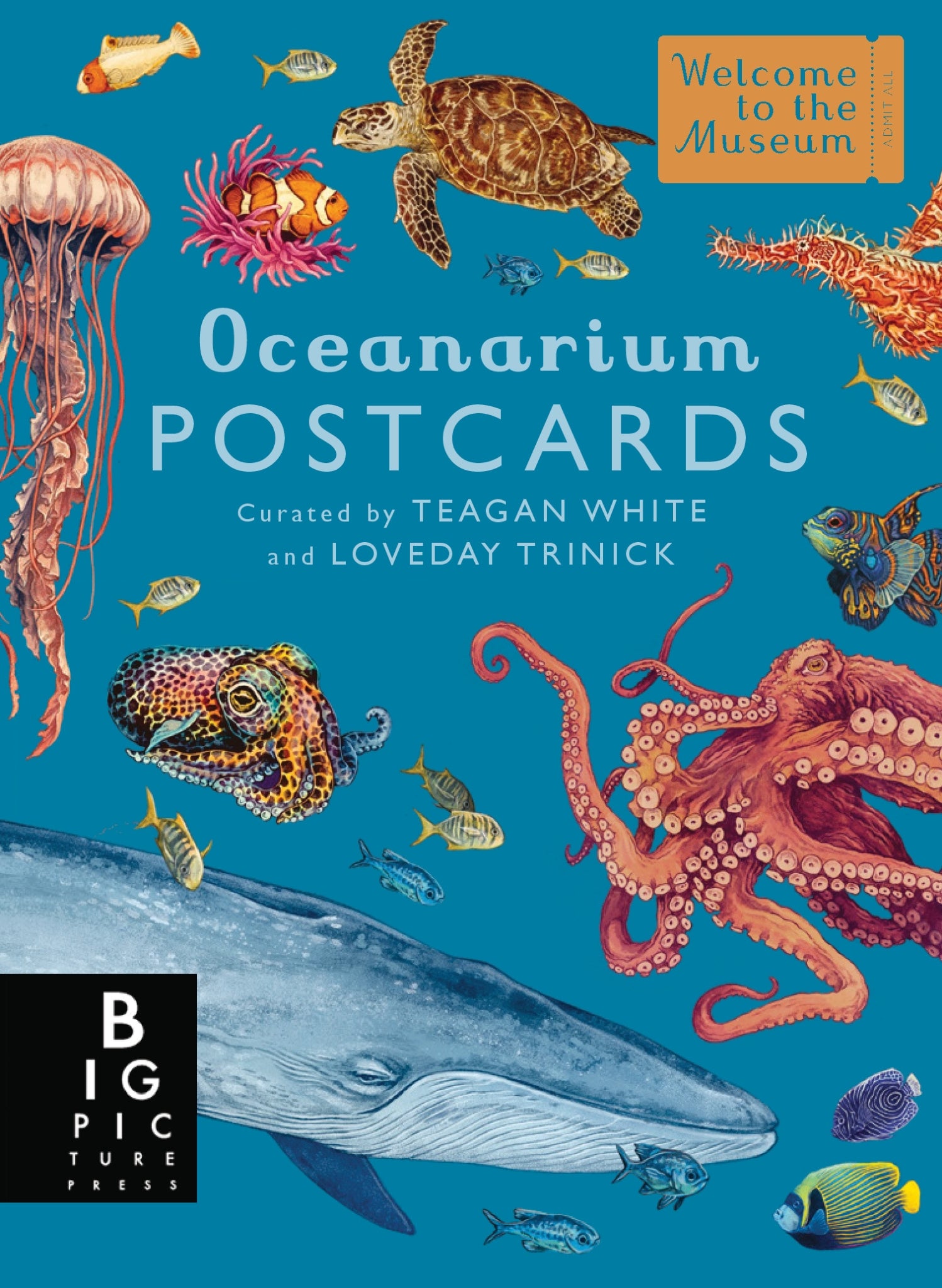 Oceanarium Postcard Box Set – De Stiil Books